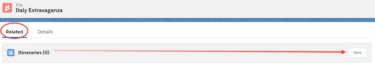 How to Use Trip References and Itinerary Versions