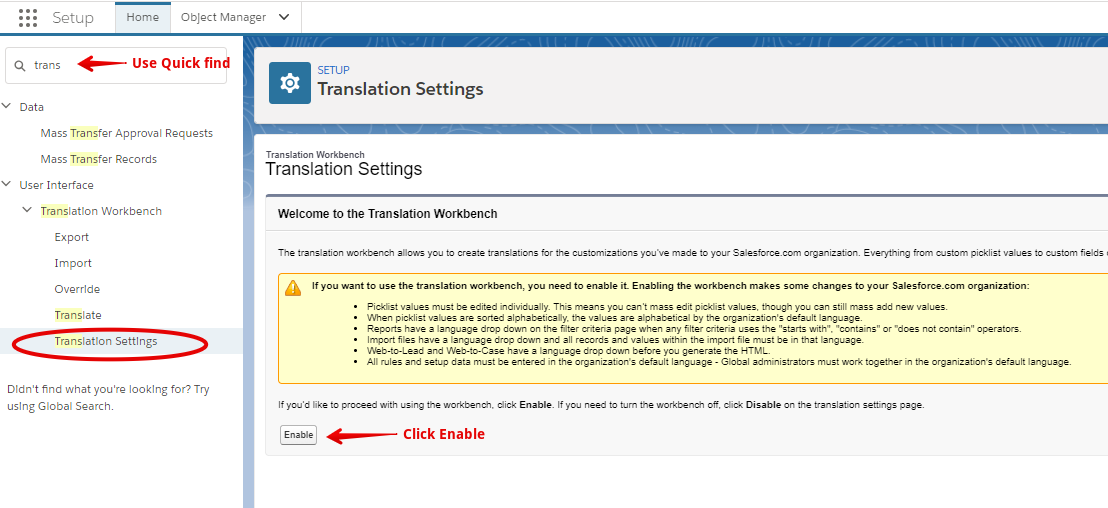 How to Enable the Translation Workbench
